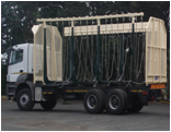 Sugar cane tip trailers.